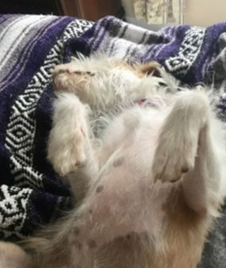 Home - Karli White, Children's Book Author