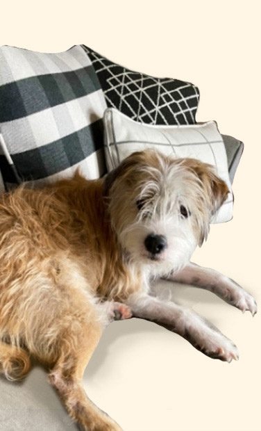 Contact Us - Karli White, Children's Book Author