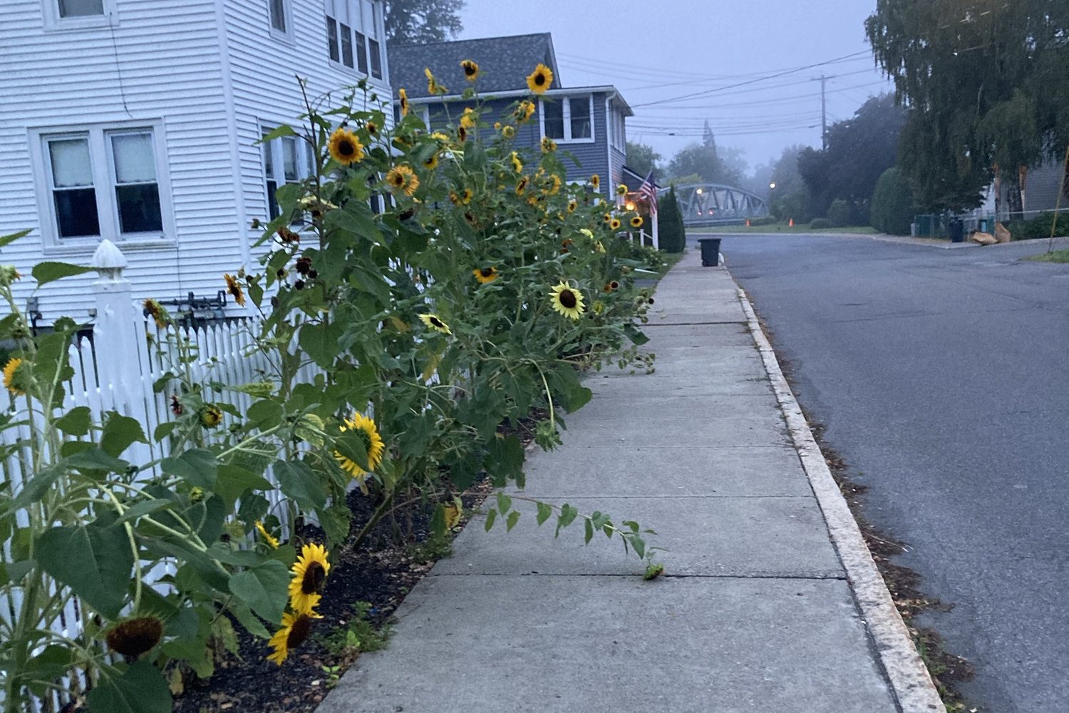 This Makes Me Happy - Karli White, Children's Book Author